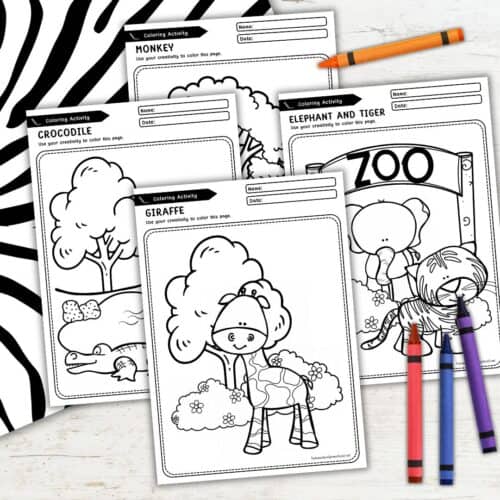 Baby Zoo Animals Coloring Pages for Preschool Fun