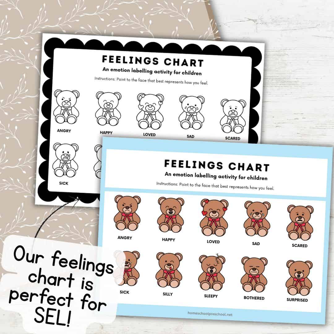 Teddy Bear Picnic Ideas for Preschool Fun and Learning