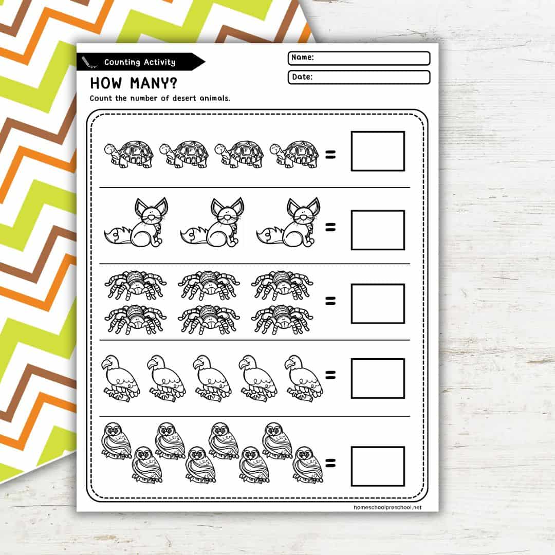 Fun and Free Desert Preschool Printables for Early Learning