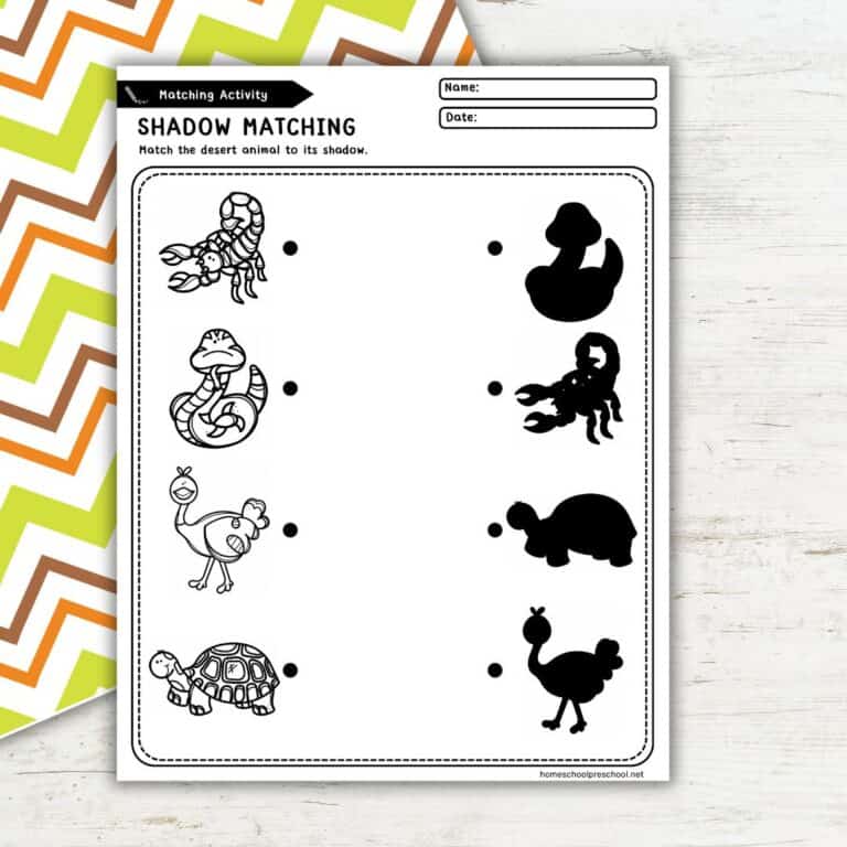 Fun and Free Desert Preschool Printables for Early Learning