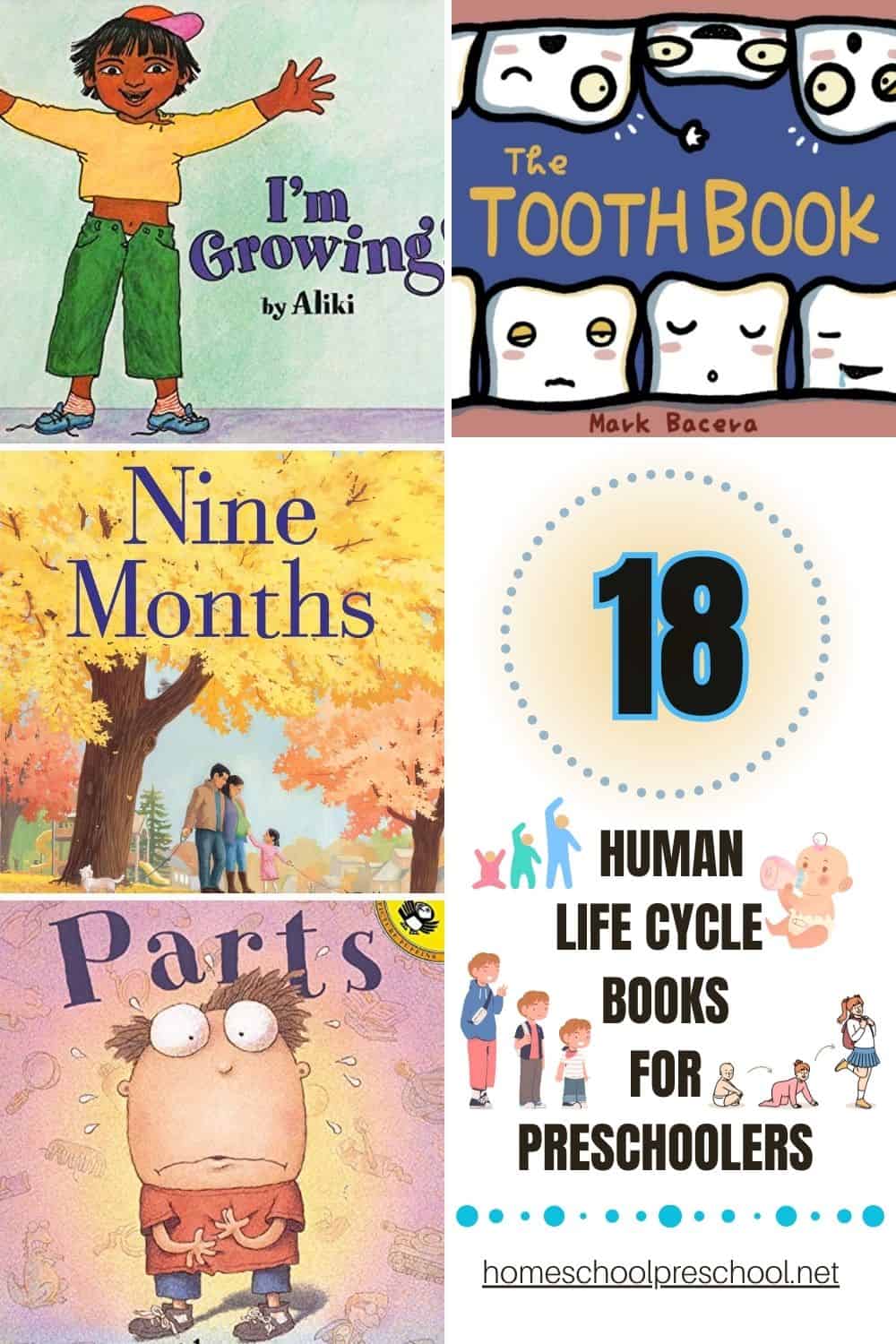 Human Life Cycle Books for Preschoolers: Fun & Simple Picks