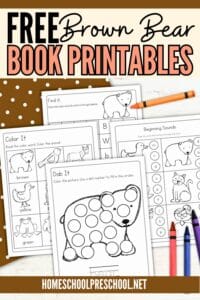 Brown Bear Brown Bear Book Activities for Preschoolers