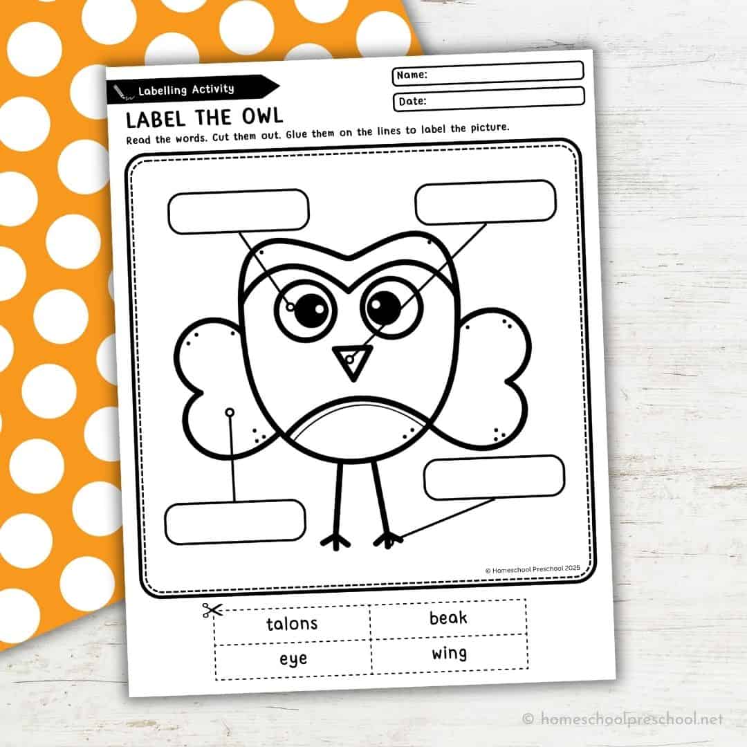 Letter O Cut and Paste Worksheets for Early Learners