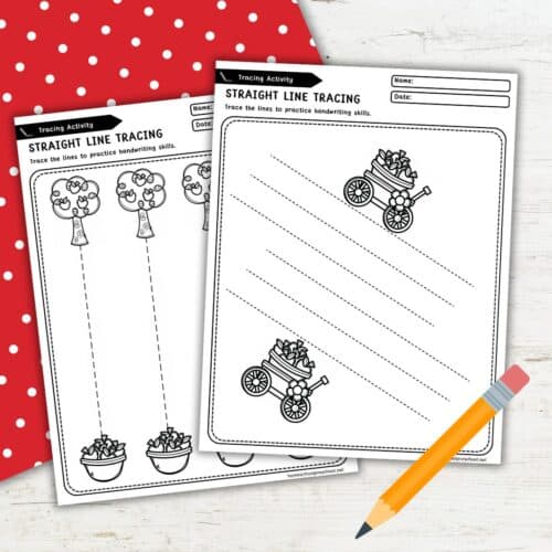 Straight Line Tracing Worksheets for Preschool Kids