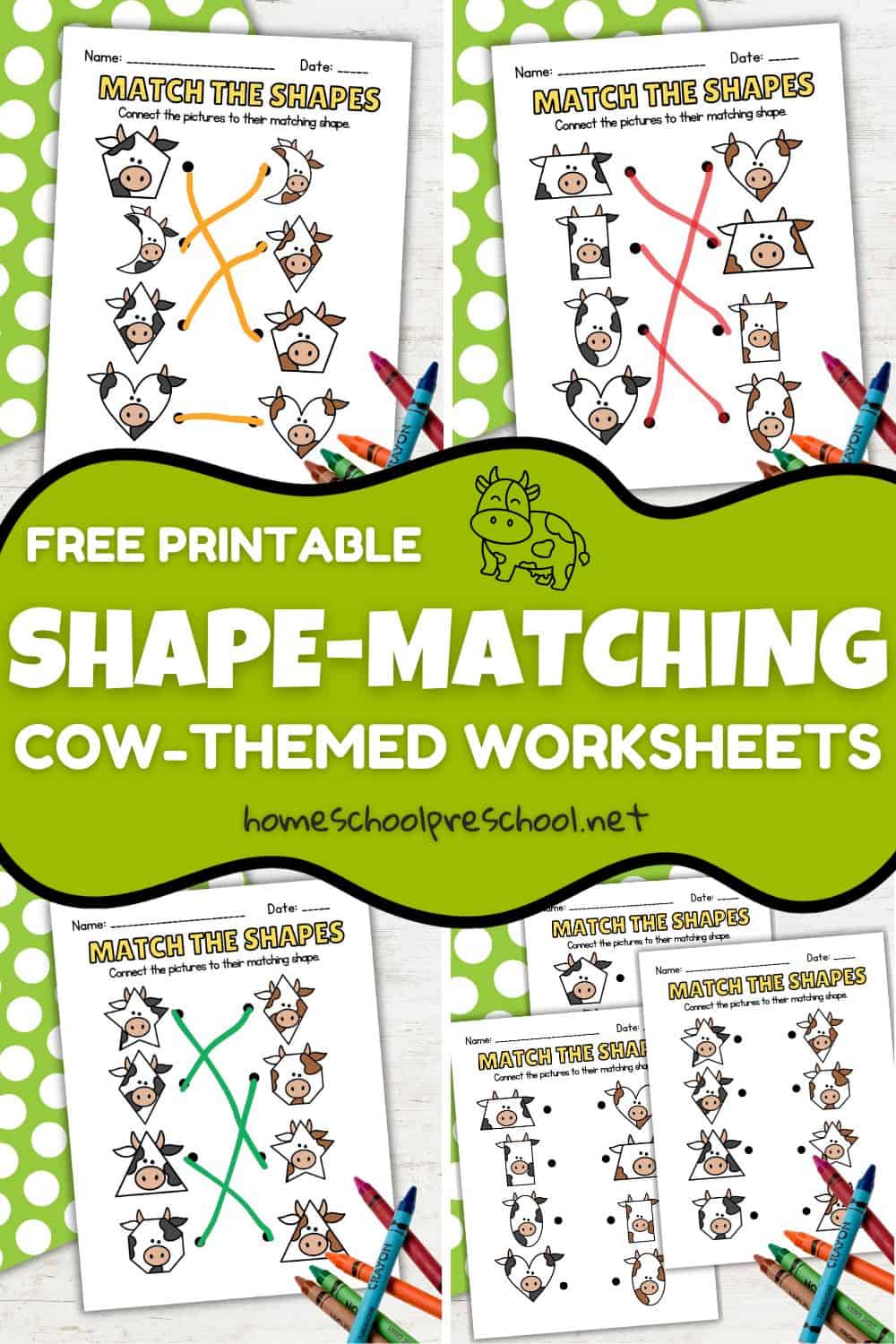Cow Shape Matching Worksheets for Preschool & Kindergarten