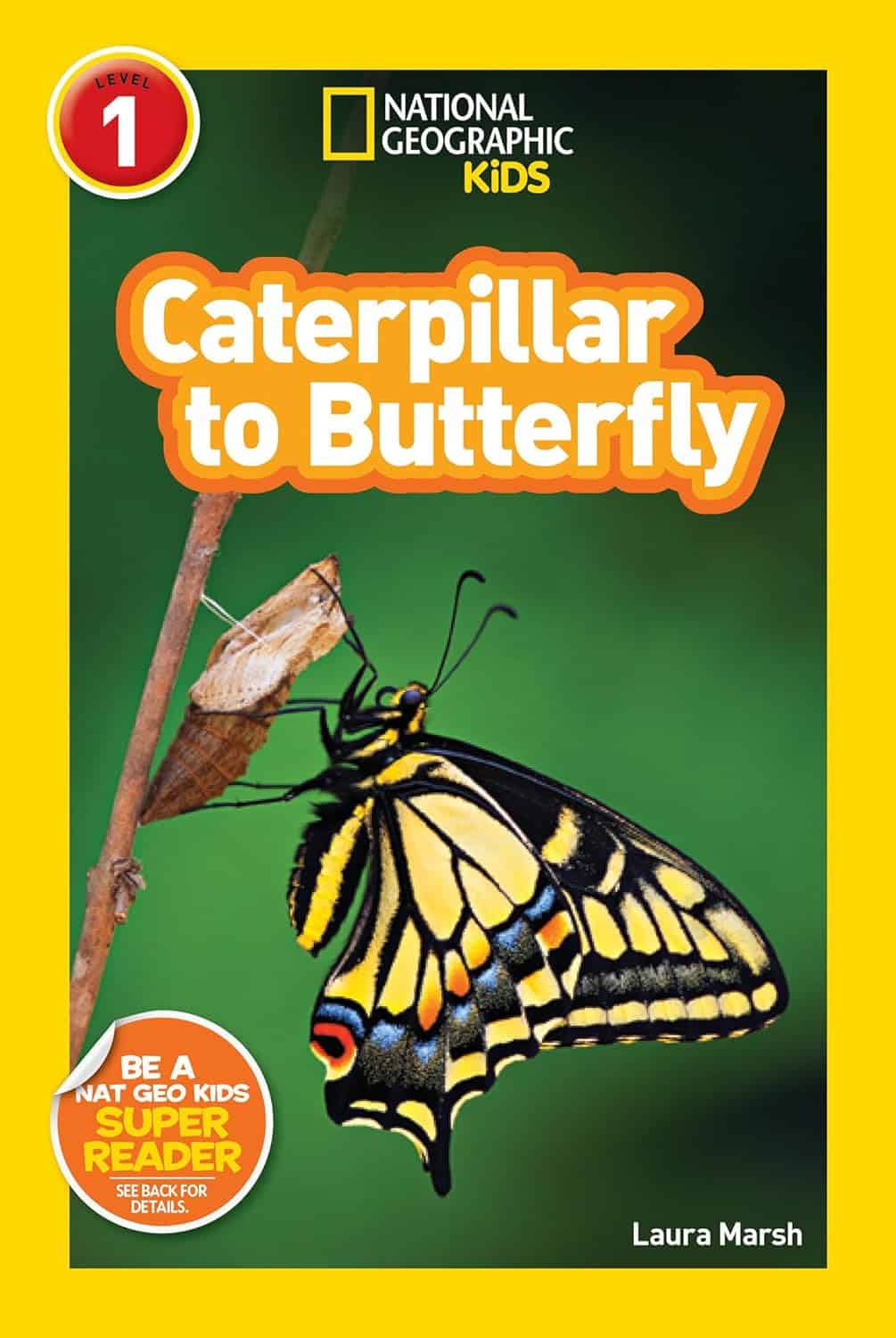 11 Engaging Butterfly Books for Toddlers and Preschoolers