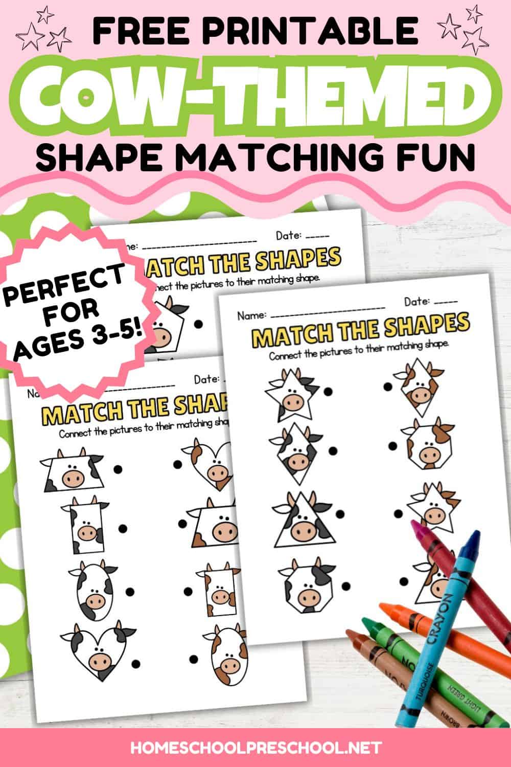 Cow Shape Matching Worksheets for Preschool & Kindergarten