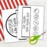 Apple Life Cycle Headband Printable for Preschool
