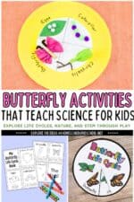 Butterfly Science Activities for Preschoolers That Inspire Learning