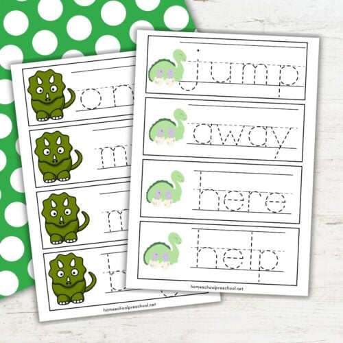 Dear Zoo Book Activities for Preschoolers to Enjoy