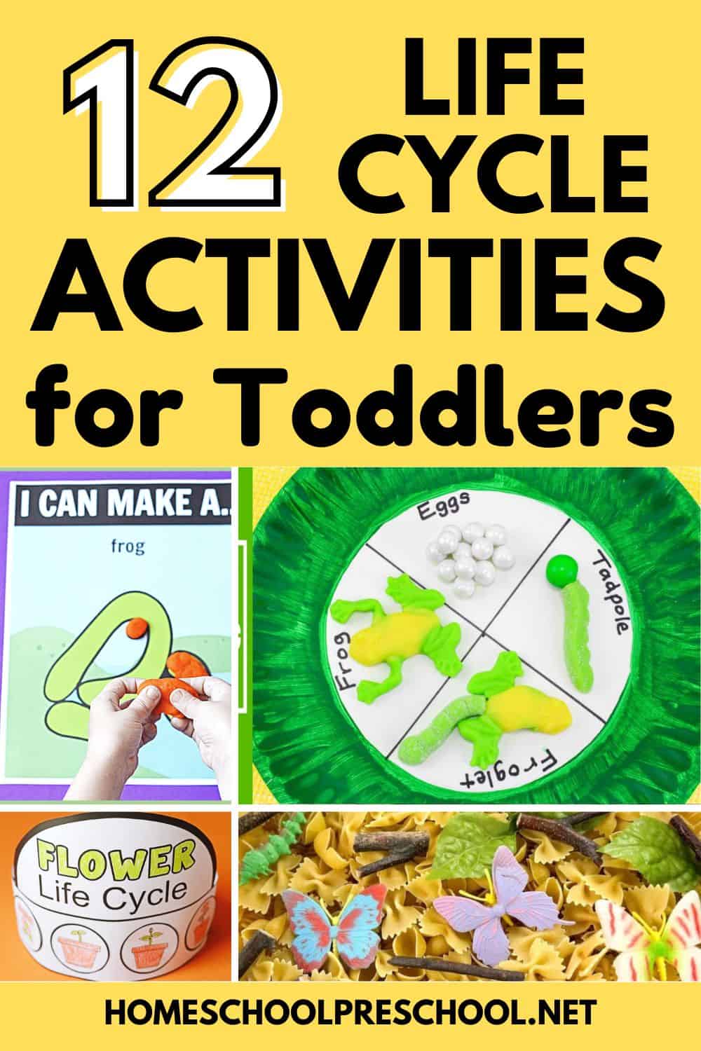 Life Cycle Activities for Toddlers to Explore Nature