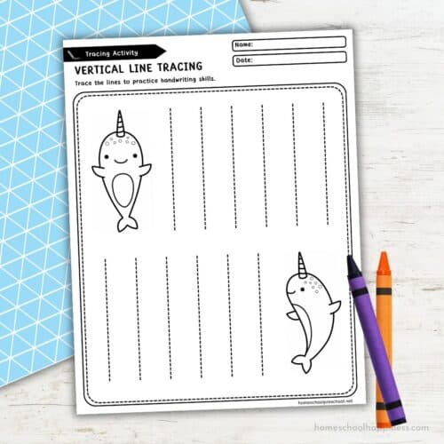 Vertical Line Tracing Worksheets for Preschoolers