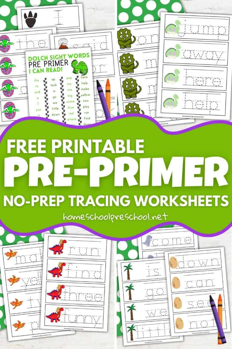 Pre Primer Sight Words Printable for Preschoolers