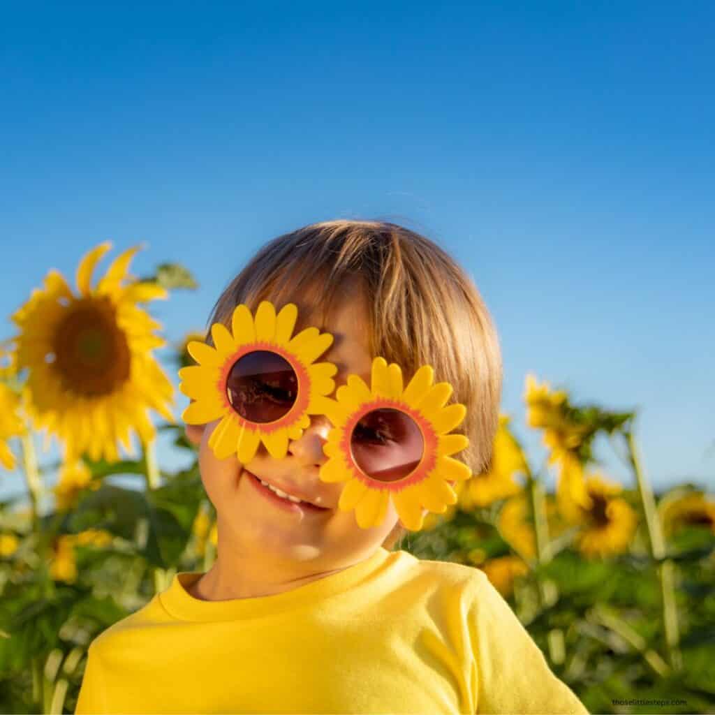 Flower Lesson Plan for Preschool: A Week of Blooming Fun