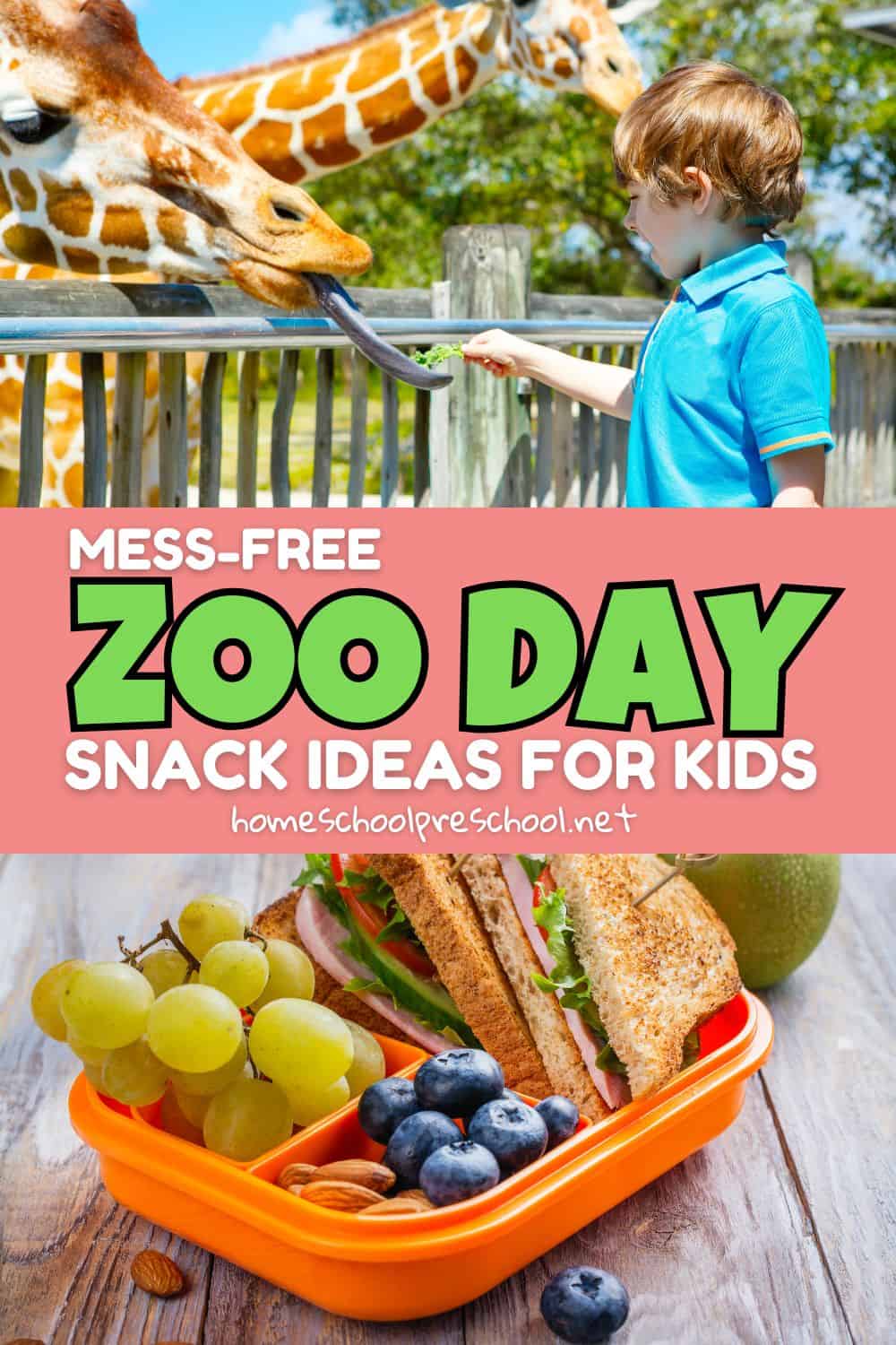 Best Snacks to Bring to the Zoo That Preschoolers Will Eat!