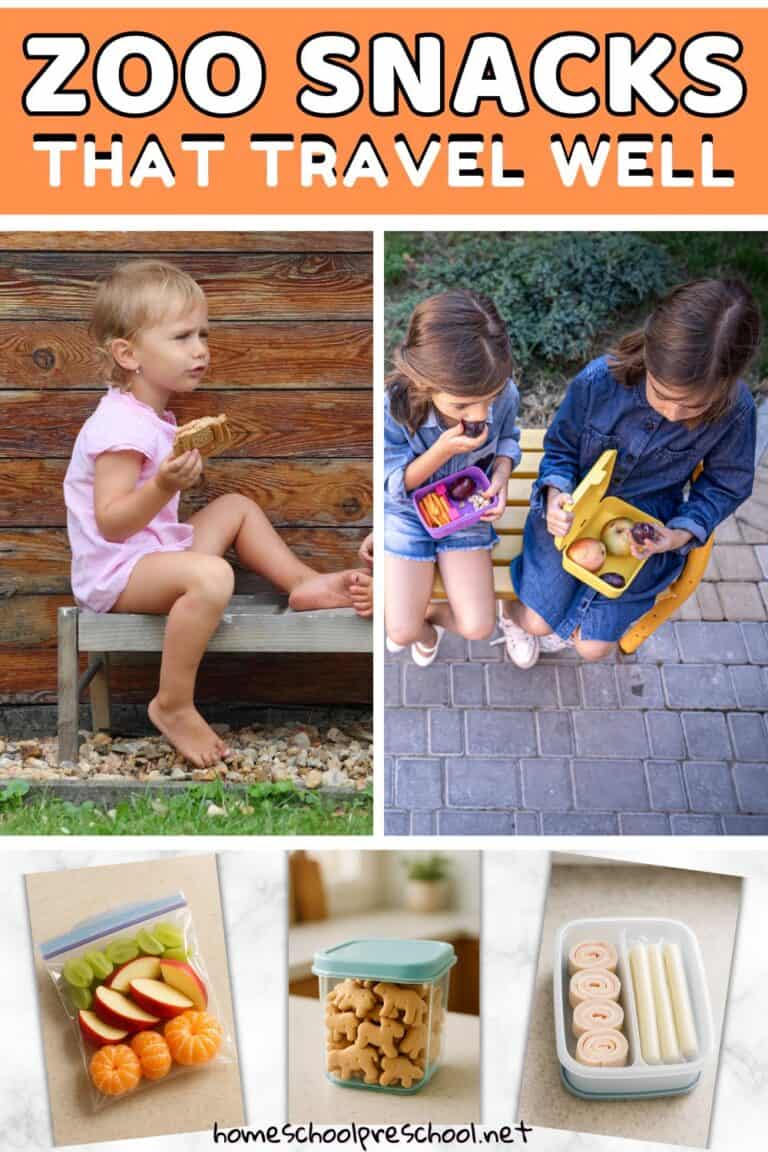 Best Snacks to Bring to the Zoo That Preschoolers Will Eat!