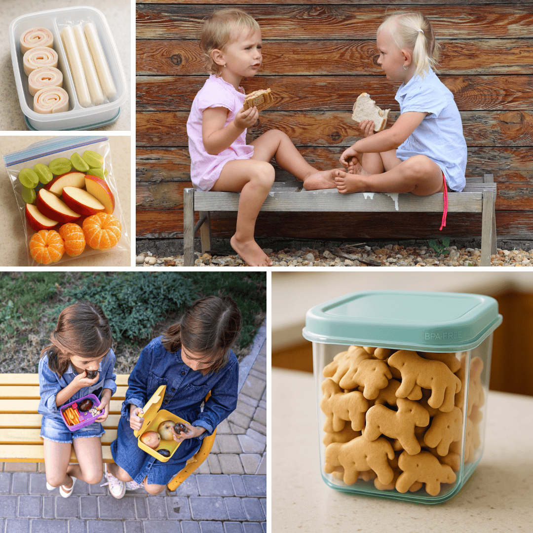 Best Snacks to Bring to the Zoo That Preschoolers Will Eat!