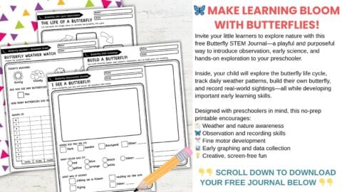 Free Butterfly STEM Journal for Preschool Learners