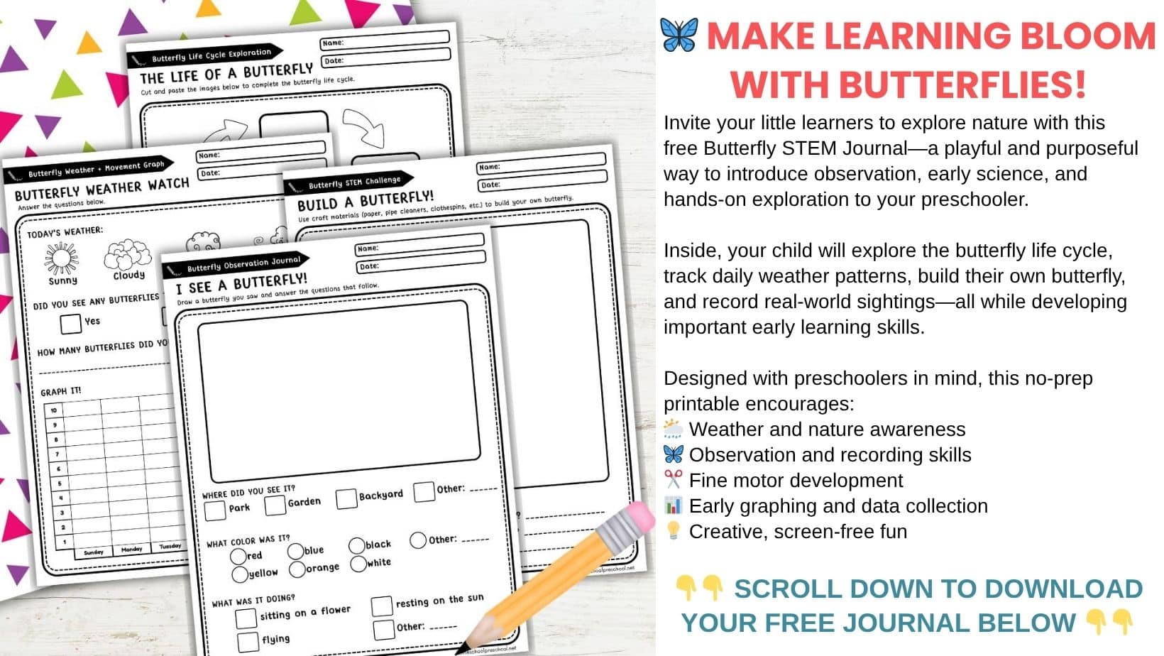 Free Butterfly STEM Journal for Preschool Learners