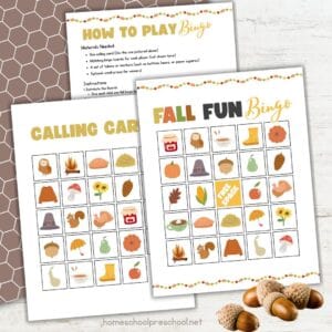 Free Fall Bingo Printable for Preschoolers | Fun Autumn Activity