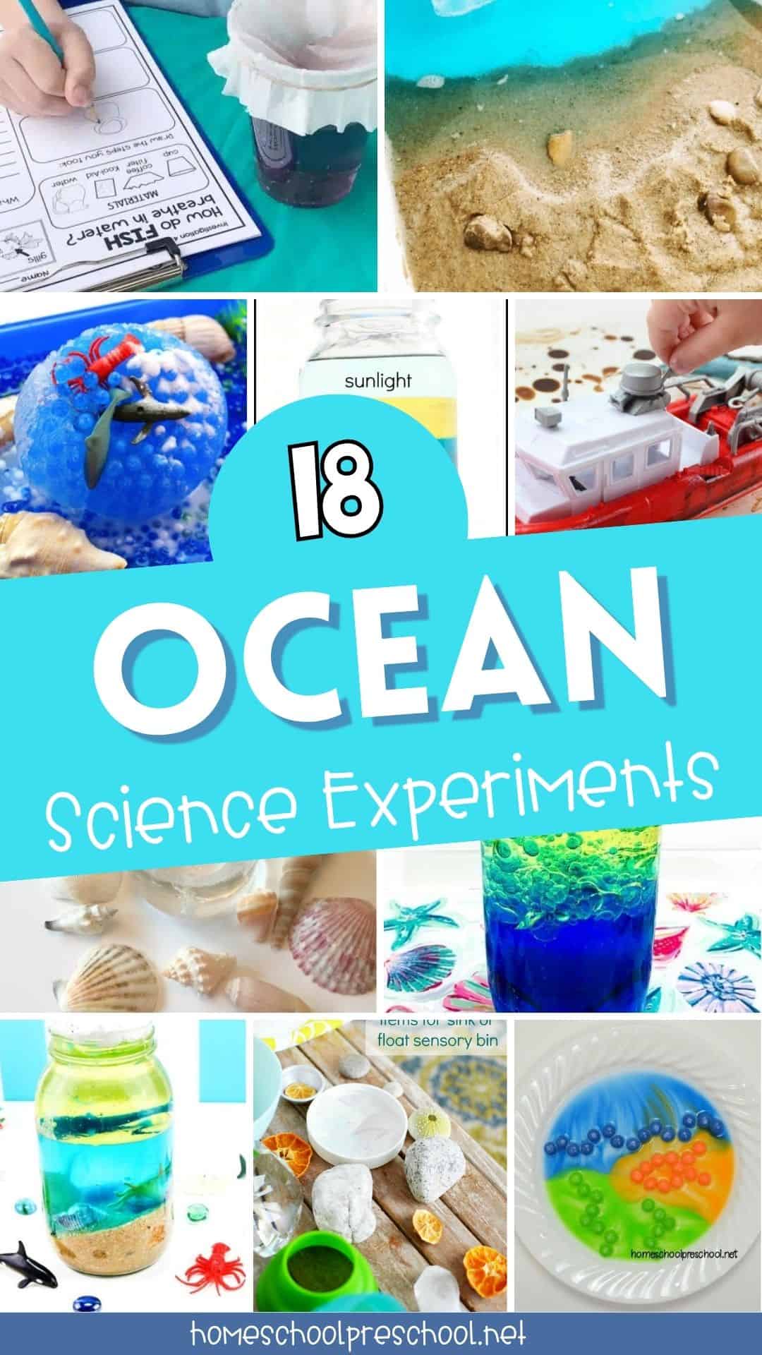 Easy Ocean Science Experiments for Preschoolers
