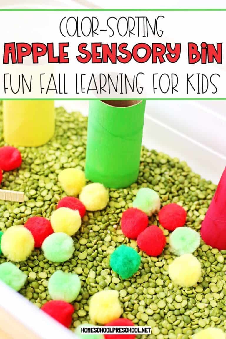 Color Sorting Apple Sensory Bin for Preschoolers