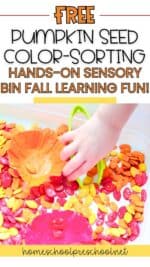 Pumpkin Sensory Bin: Fun Color Sorting Activity
