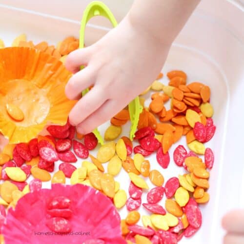 Pumpkin Sensory Bin: Fun Color Sorting Activity