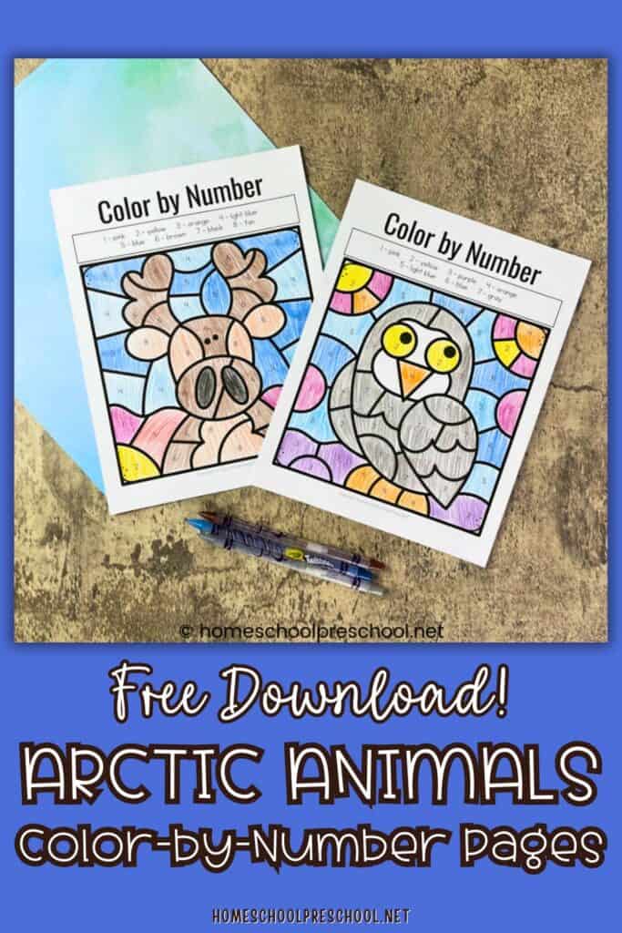 Free Printable Arctic Animals Color by Number Worksheets