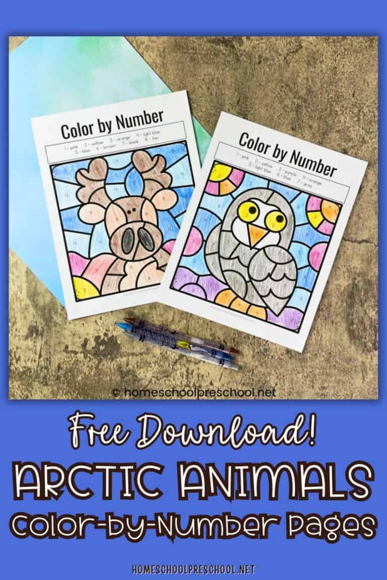 Free Printable Arctic Animals Color by Number Worksheets