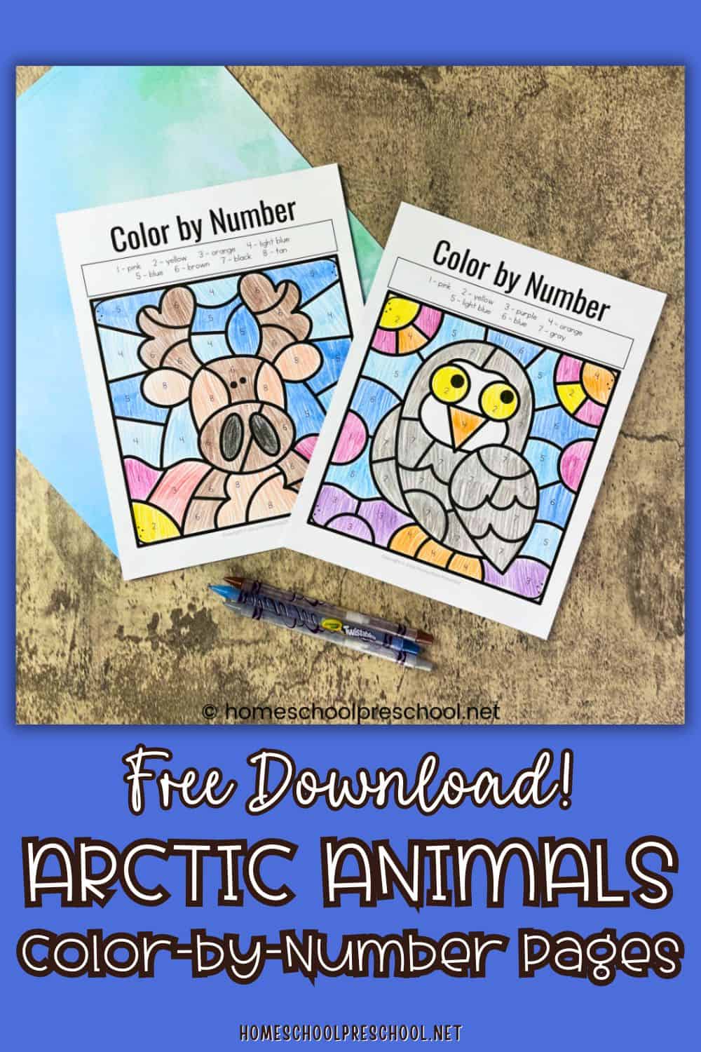 Free Printable Arctic Animals Color by Number Worksheets
