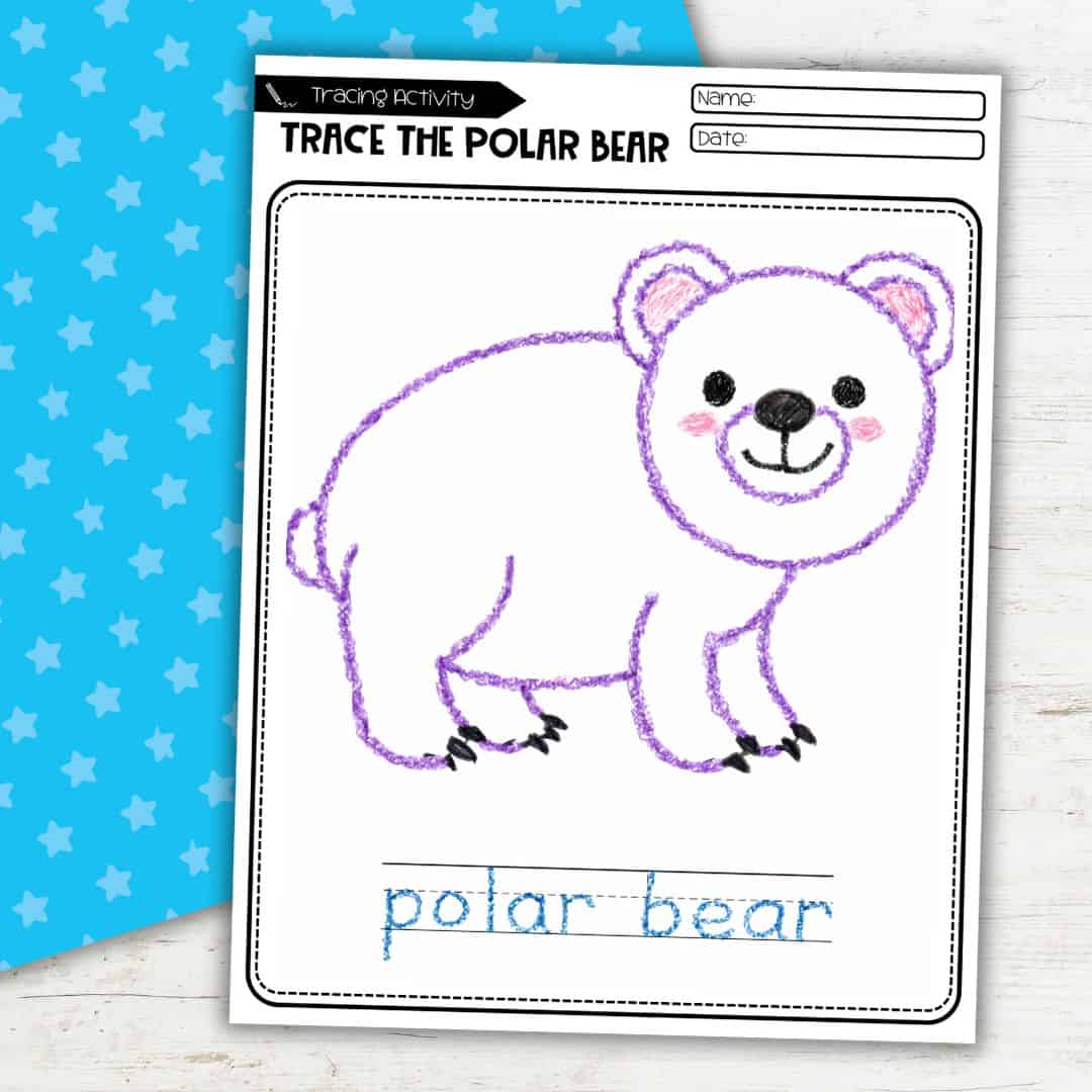 Polar Bear Tracing Pages for Preschool (Free Printable)