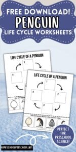 Life Cycle of a Penguin Worksheet - Free Preschool Printable