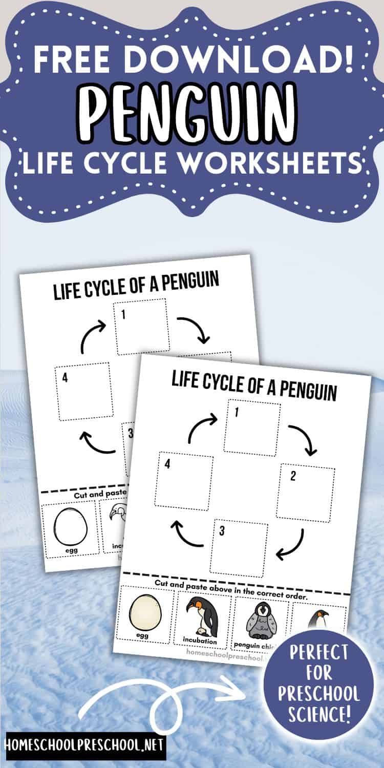 Life Cycle of a Penguin Worksheet - Free Preschool Printable