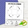 Life Cycle of a Penguin Worksheet - Free Preschool Printable