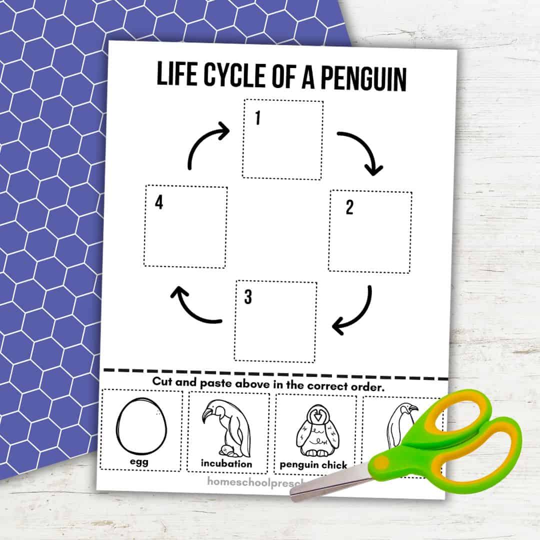 Life Cycle of a Penguin Worksheet - Free Preschool Printable