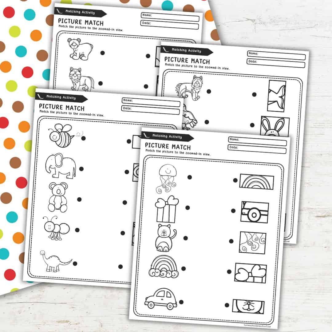 Preschool Matching Worksheets for Easy Skill Practice