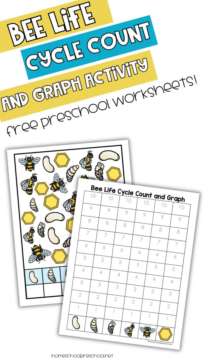 Bee Life Cycle Count and Graph Activity