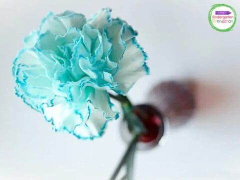 Spring Science Experiments for Preschoolers (25 Easy Ideas)