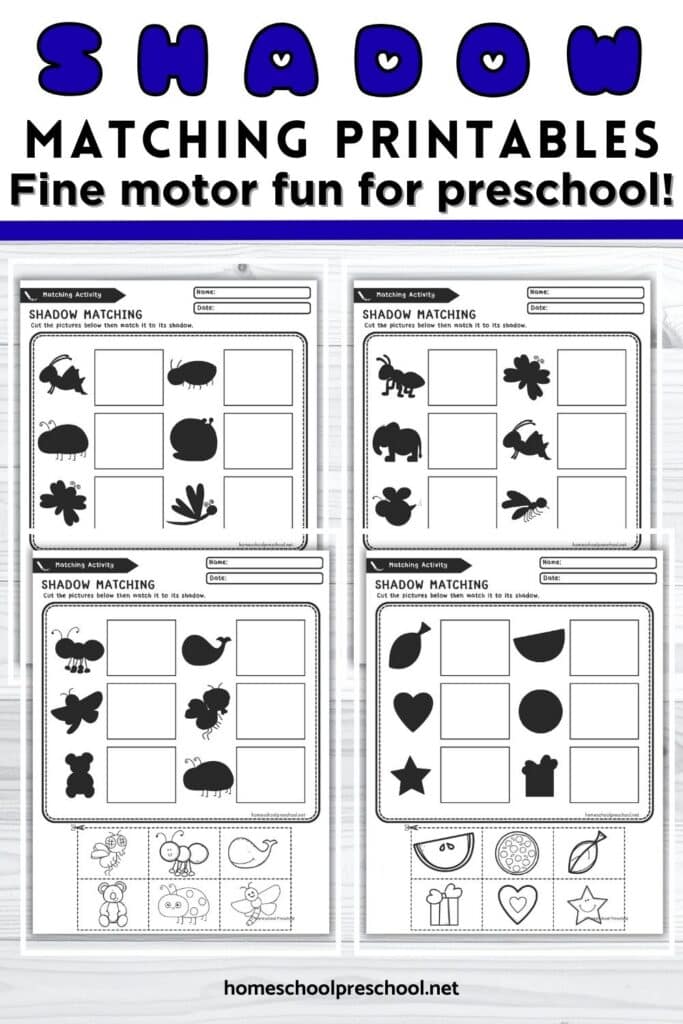 Shadow Matching Printables for Preschool
