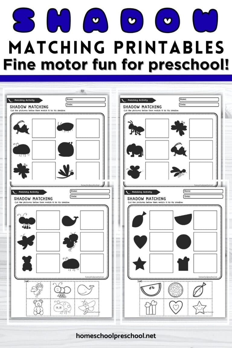 Shadow Matching Printables for Preschool