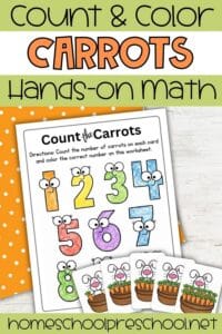 Carrot Count and Color Activity for Preschool