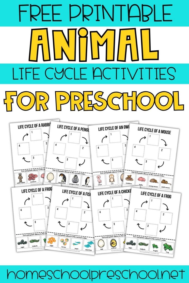 Animal Life Cycle Preschool Worksheets (Free Printables)