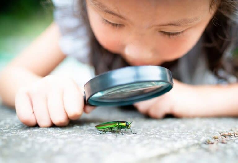 May Themes for Preschool for Homeschool (Ages 3–5)