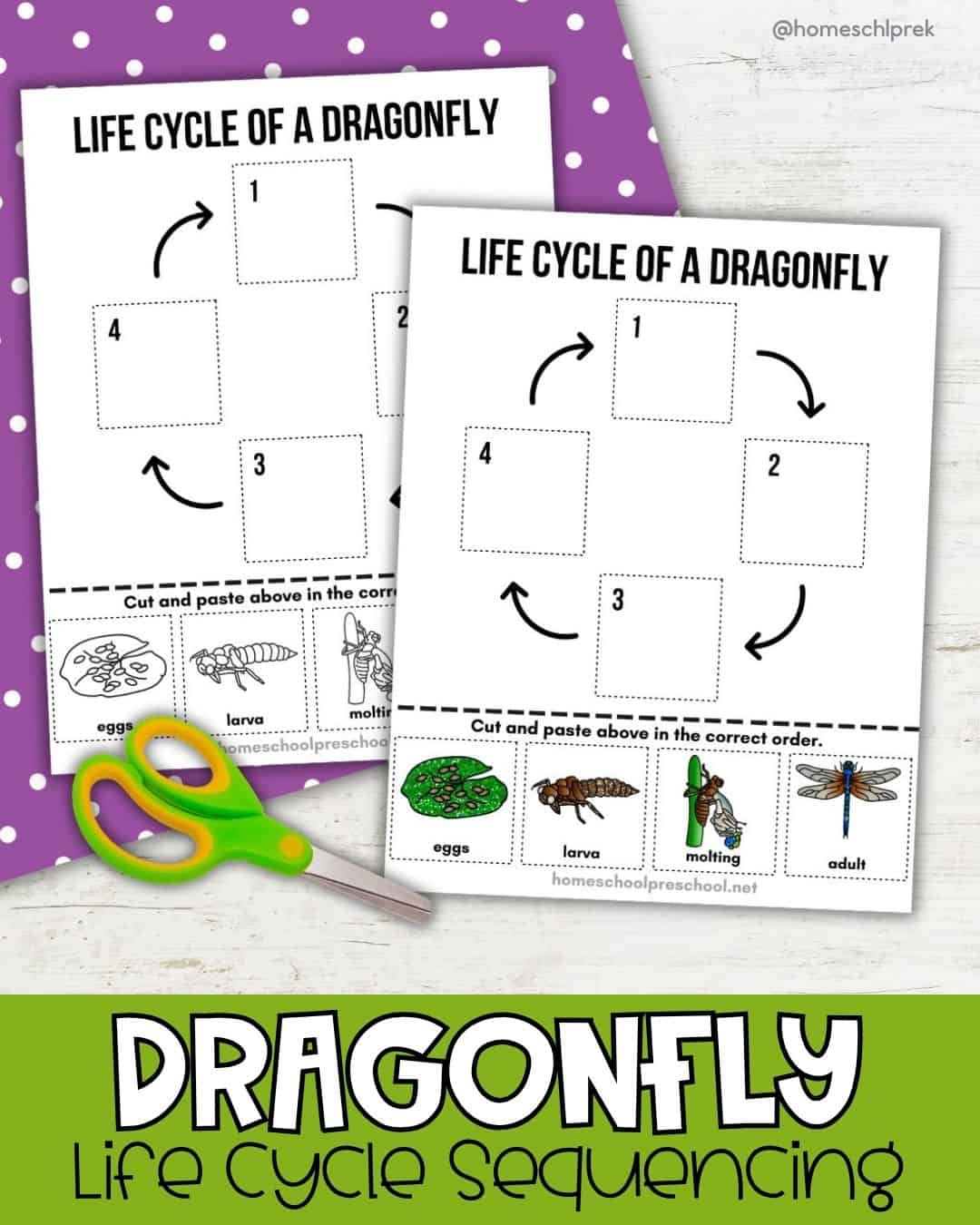 Dragonfly Life Cycle Worksheet for Preschool (Hands-On Science)