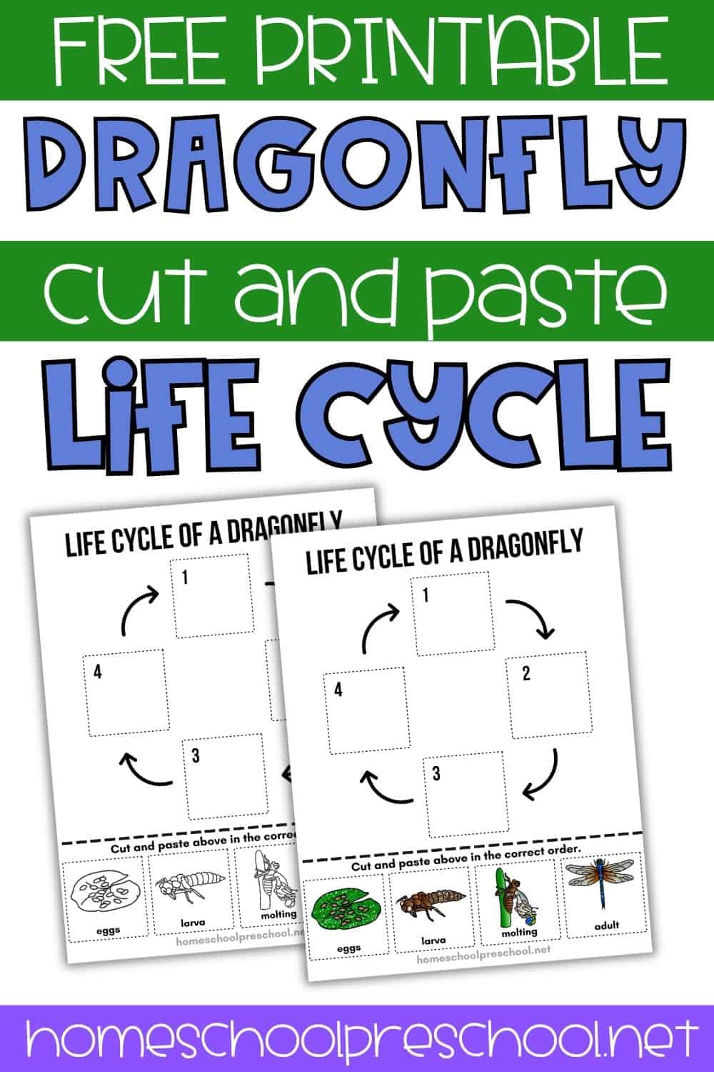 Dragonfly Life Cycle Worksheet for Preschool (Hands-On Science)