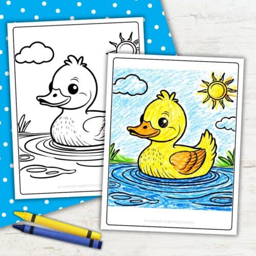 Duck Printable Coloring Pages for Preschool (Free & Fun)