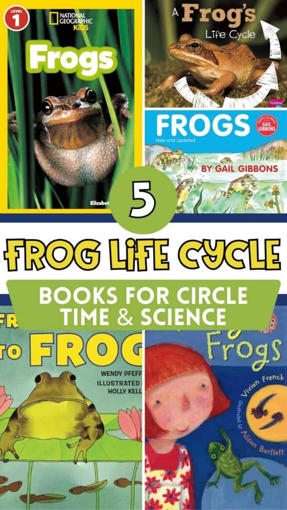 Frog Life Cycle Books for Preschool and Kindergarten (Top Picks)