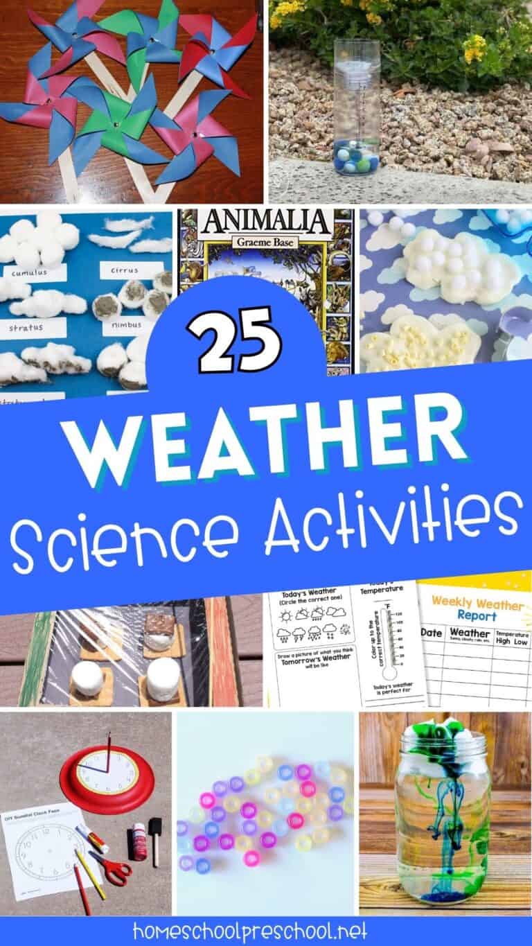 25 Weather Science Activities for Kids to Try This Week