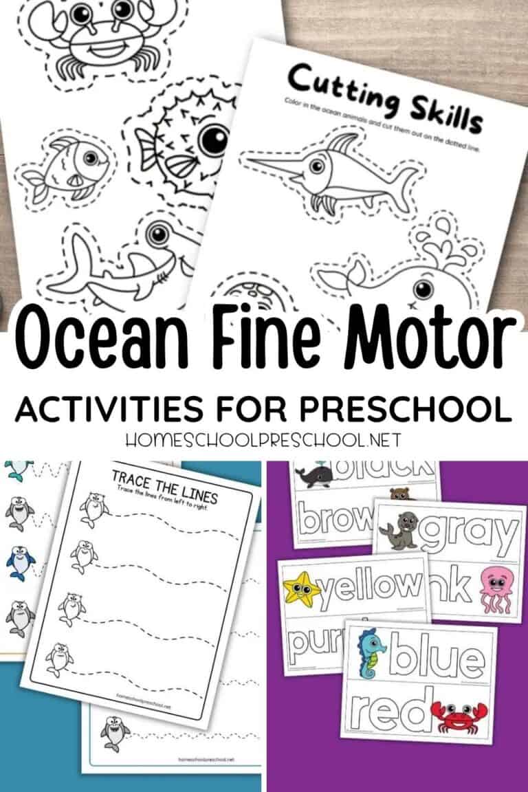 Ocean Fine Motor Activities for Preschoolers (Quiet Time Ideas)